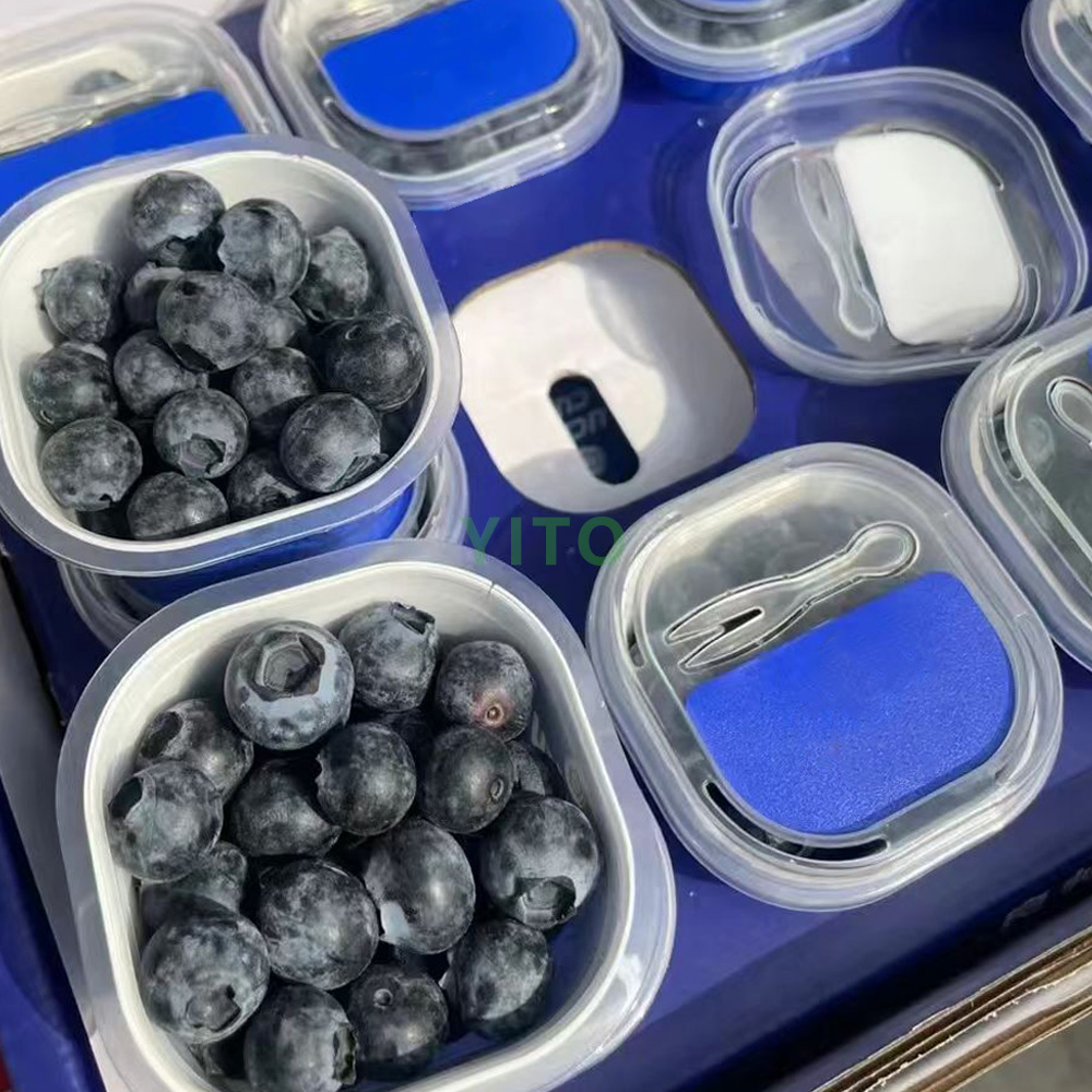 News - Eco-Friendly Fruit Cups & Blueberry Cups | YITO at AISAFRESH ...