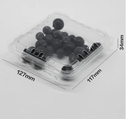 Wholesale 250g Transparency Recyclable fruits punnet |YITO Manufacturer ...